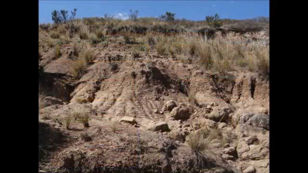 Land Degradation Definition