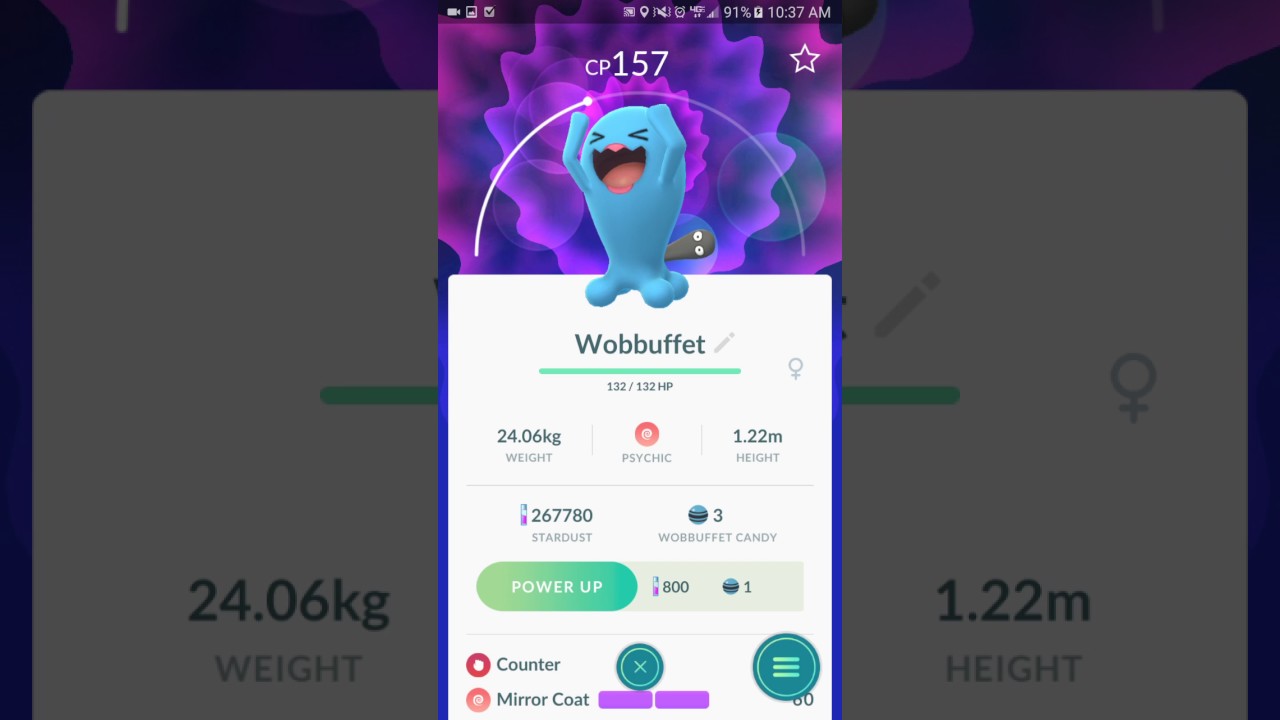 Female wobbuffet - YouTube