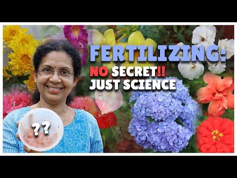How To Use Npk Fertilizer For Flowering Plants