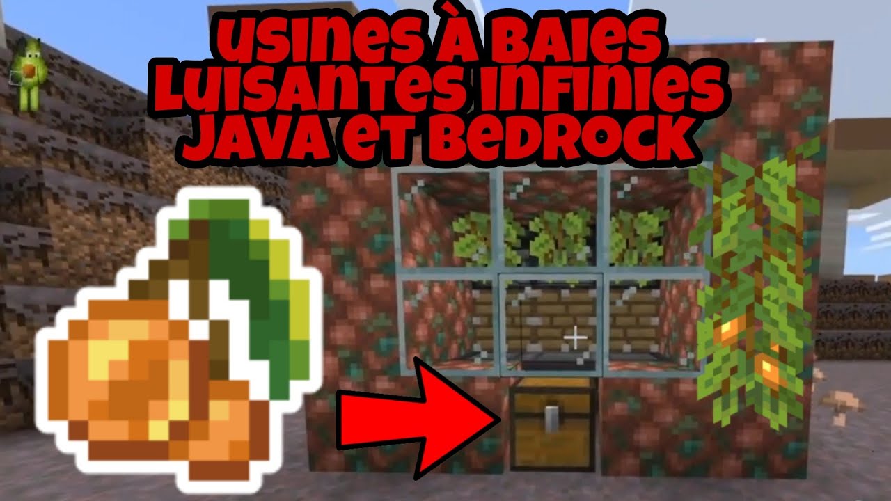 2 Usines à Baies Luisantes Minecraft Java & Bedrock 1.18 - YouTube