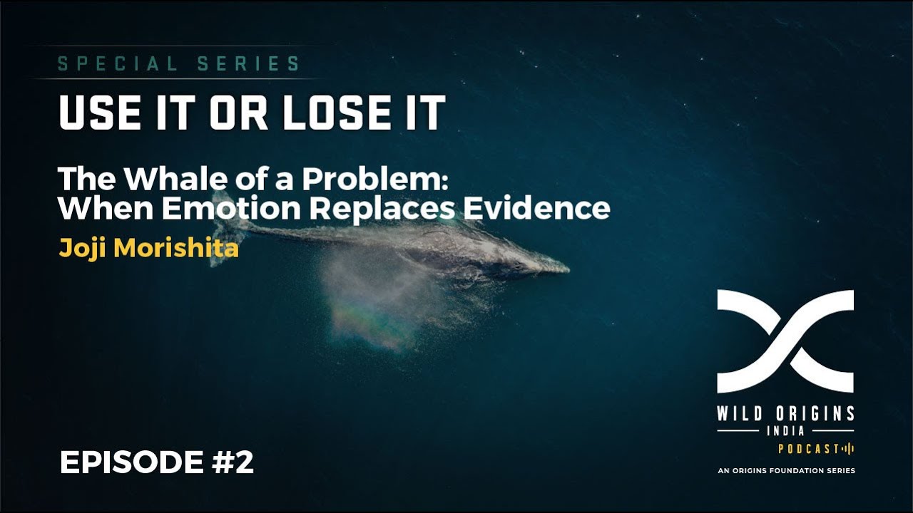 WOI Podcast-Series 1- Use it or Lose it!-EP2: The Whale of a Problem ...