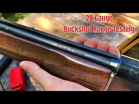 28 Gauge Buckshot Range Testing - YouTube