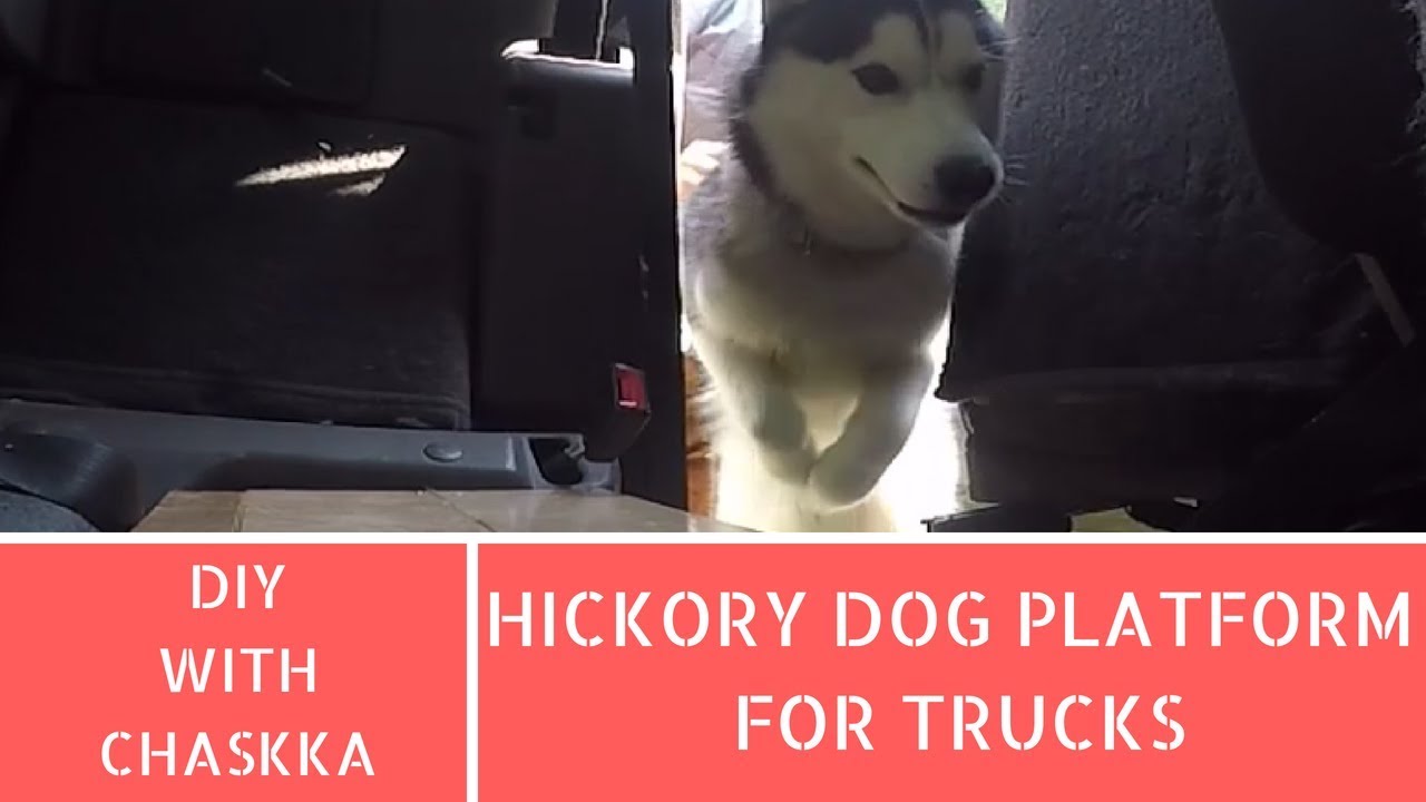DIY Dog Platform for Truck | Hickory Cab Platform | Traveling for Dogs ...