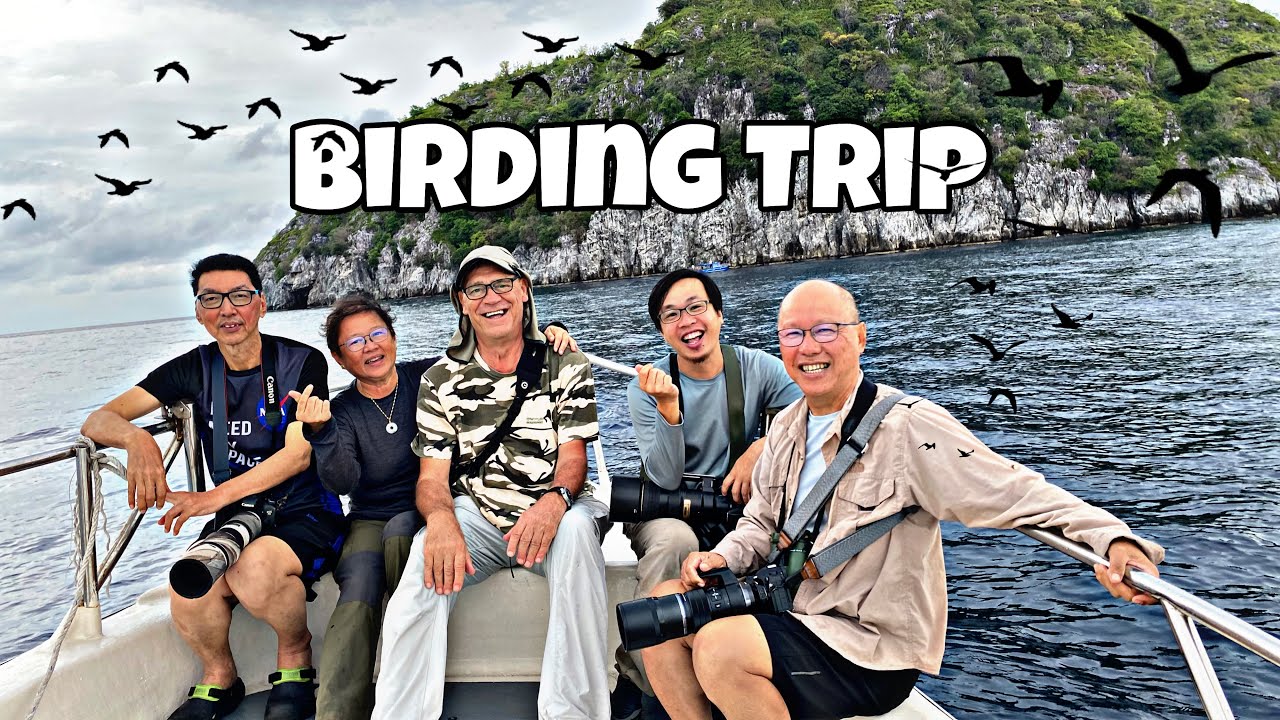 #355 BURUNG BURUNG DI TUKUN PERAK 🦅|| BIRDING TRIP 😍 - YouTube