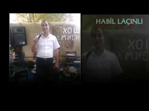 HABİL Laçınlı