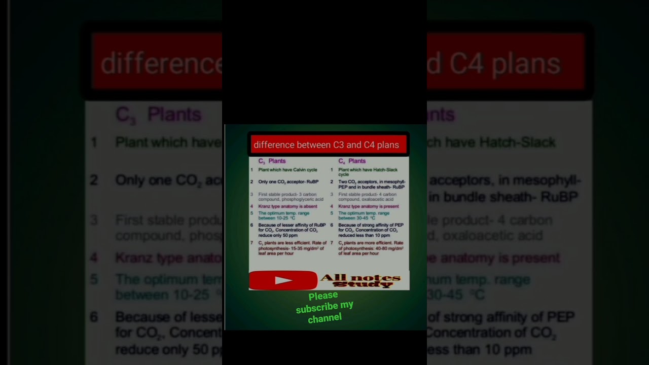 Difference between C3 and C4 plants #/ - YouTube
