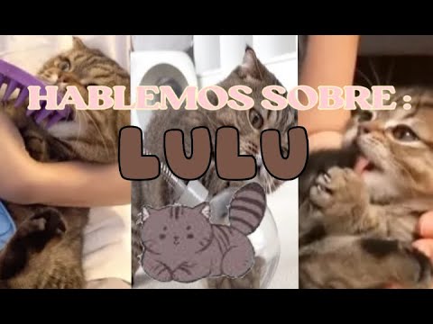 Hablando sobre : Lulu [cream héroes] - YouTube