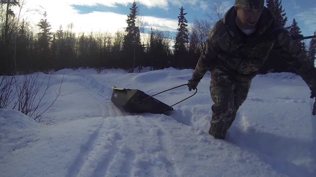 Razor Tooth Ranch Wild Boar Hunt - YouTube