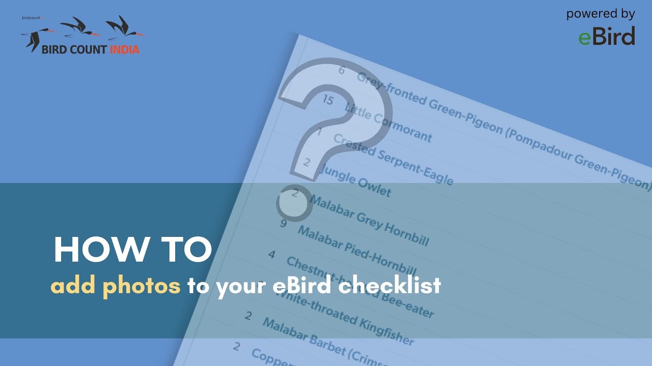How to Add Photos to Your eBird Checklist - YouTube