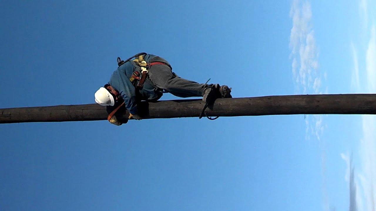 El trepador de poste salbaje - YouTube
