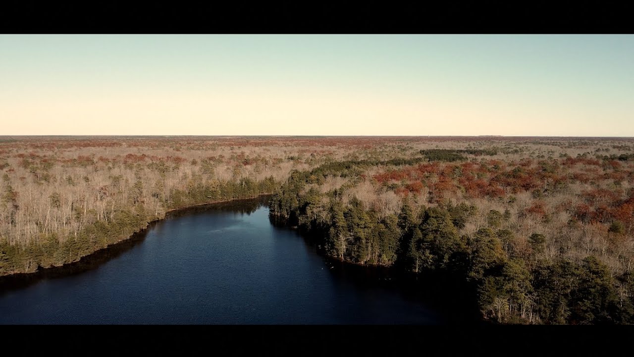 Belleplain State Forest | Drone Footage - YouTube