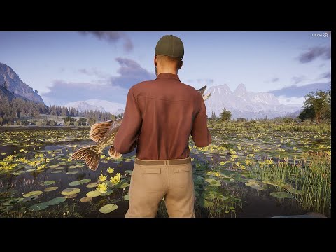 Diamond Northern Pike Location And Bait / The Angler - YouTube