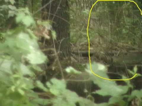 The Haunted Gettysburg Investigation (ghost soldiers) - YouTube