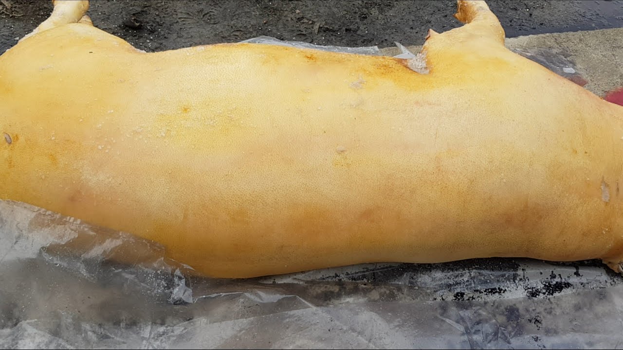 Taiatul porcului - Ignatul - Obiceiuri din bătrâni - YouTube