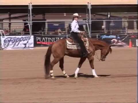 Finished Reining Horse for Sale by Gunner - YouTube