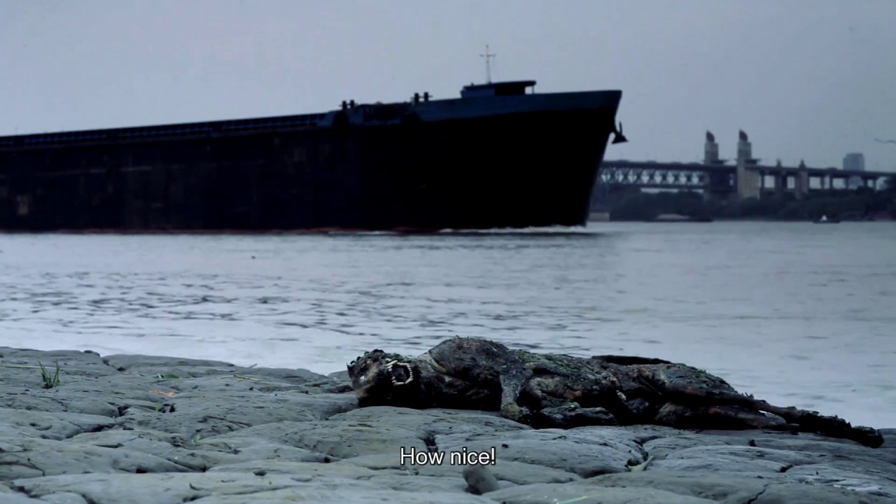 IDFA 2016 | Trailer | On the Bridge of Death and Life - YouTube