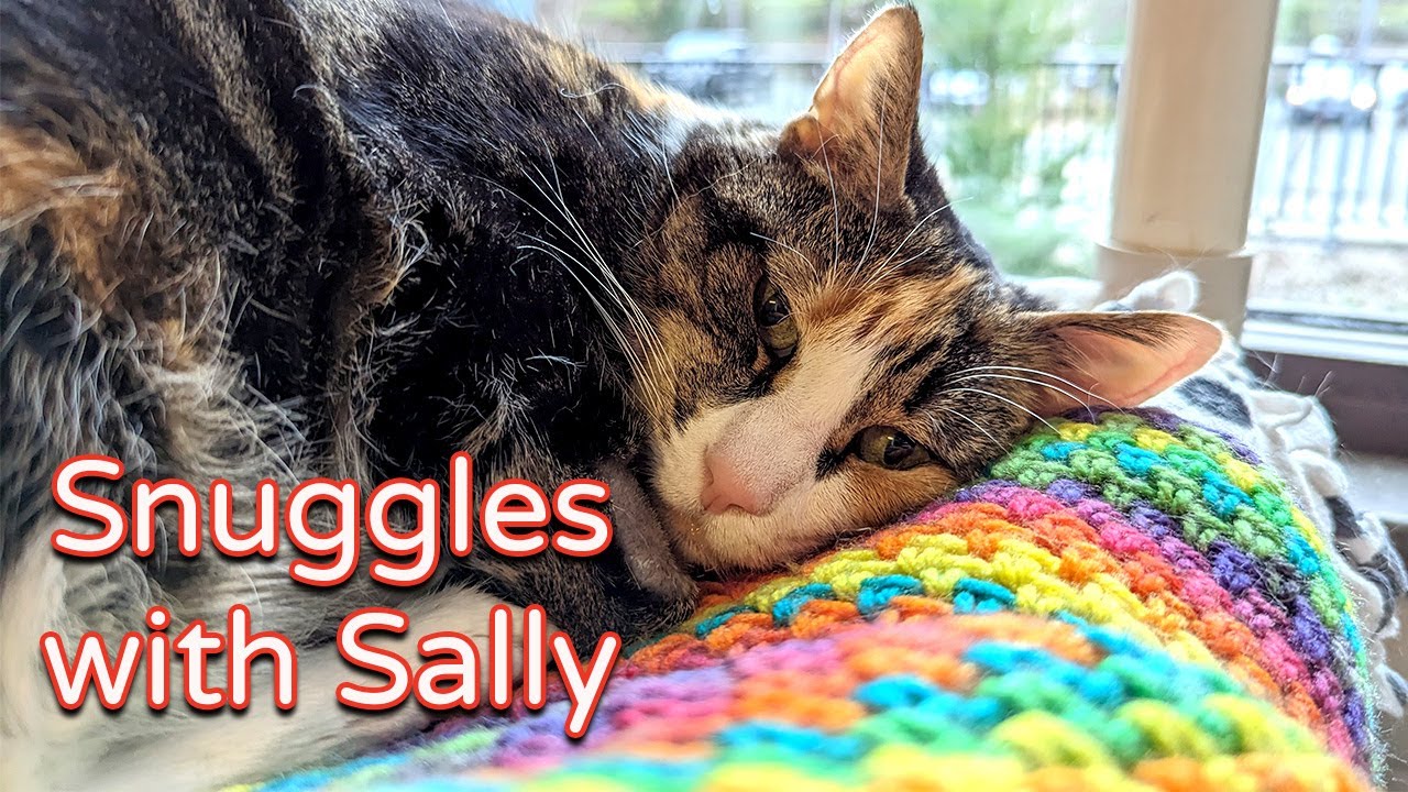Sally Snuggles For You - YouTube