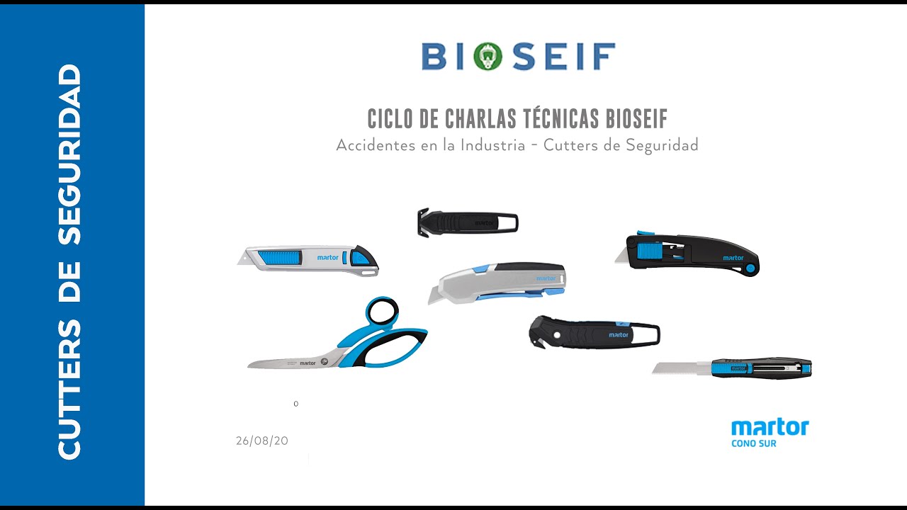 Ciclo de Charlas Técnicas Bioseif - ACCIDENTES EN LA INDUSTRIA I ...