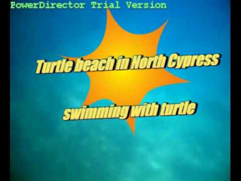 Turtle beach near Kyrenia, Northern Cyprus - YouTube