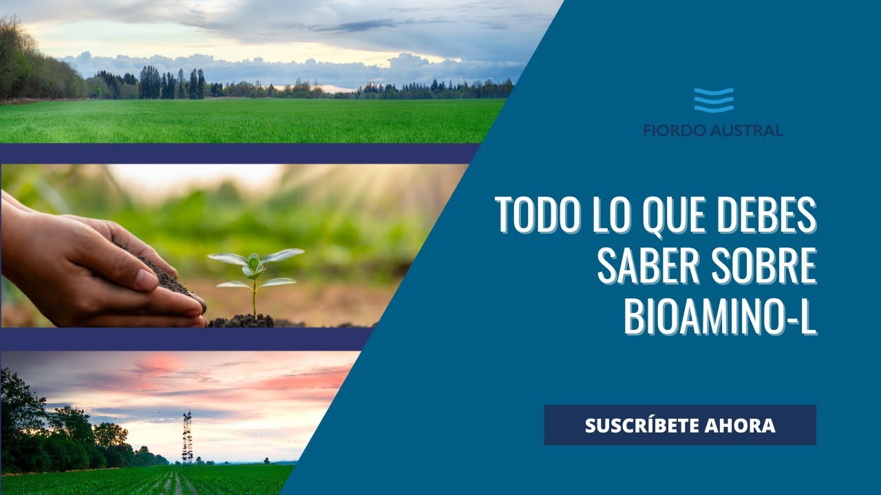 Todo lo que debes saber sobre Bioamino-L - YouTube