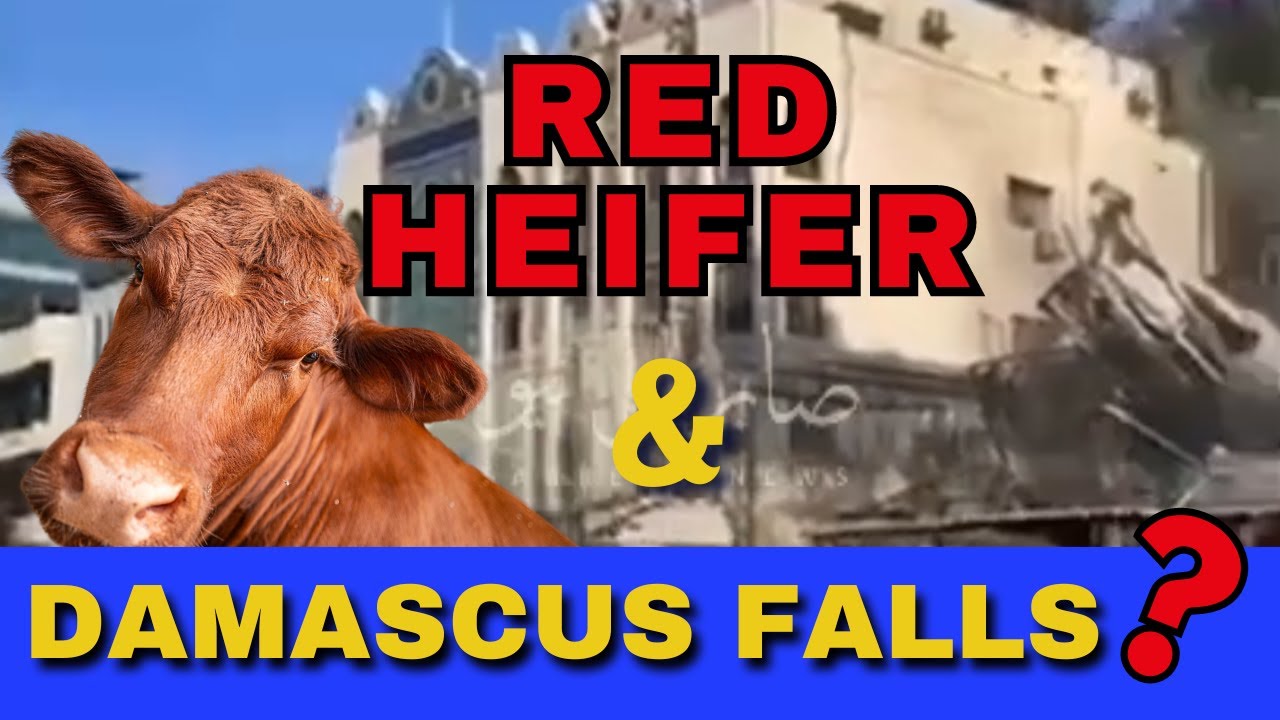 Red Heifer and Damascus Falling? 5th April 2024 - YouTube