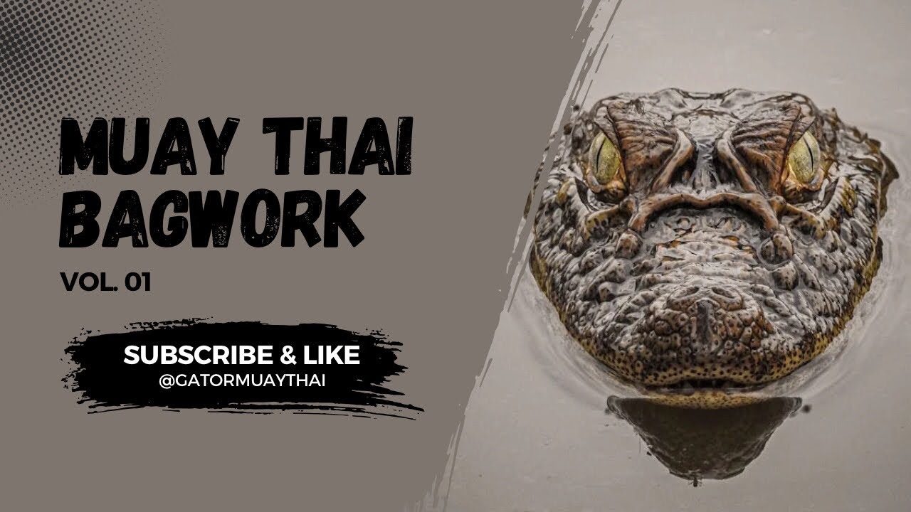 Gator Morning Bagwork Session - YouTube