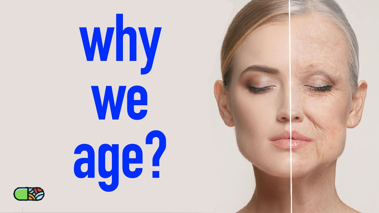 Why We Age and Why We Don't Have To - YouTube