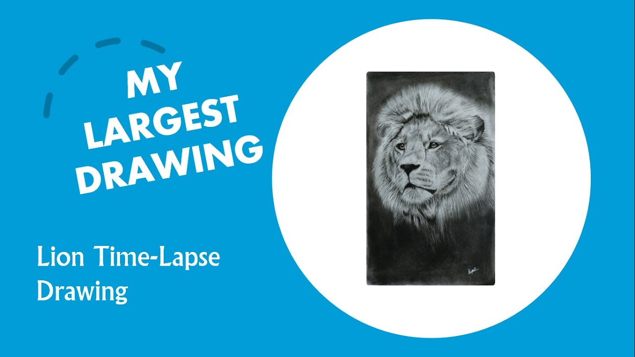 MY LARGEST DRAWING!!! | Lion Time-Lapse Drawing| #drawing #art #sketch ...