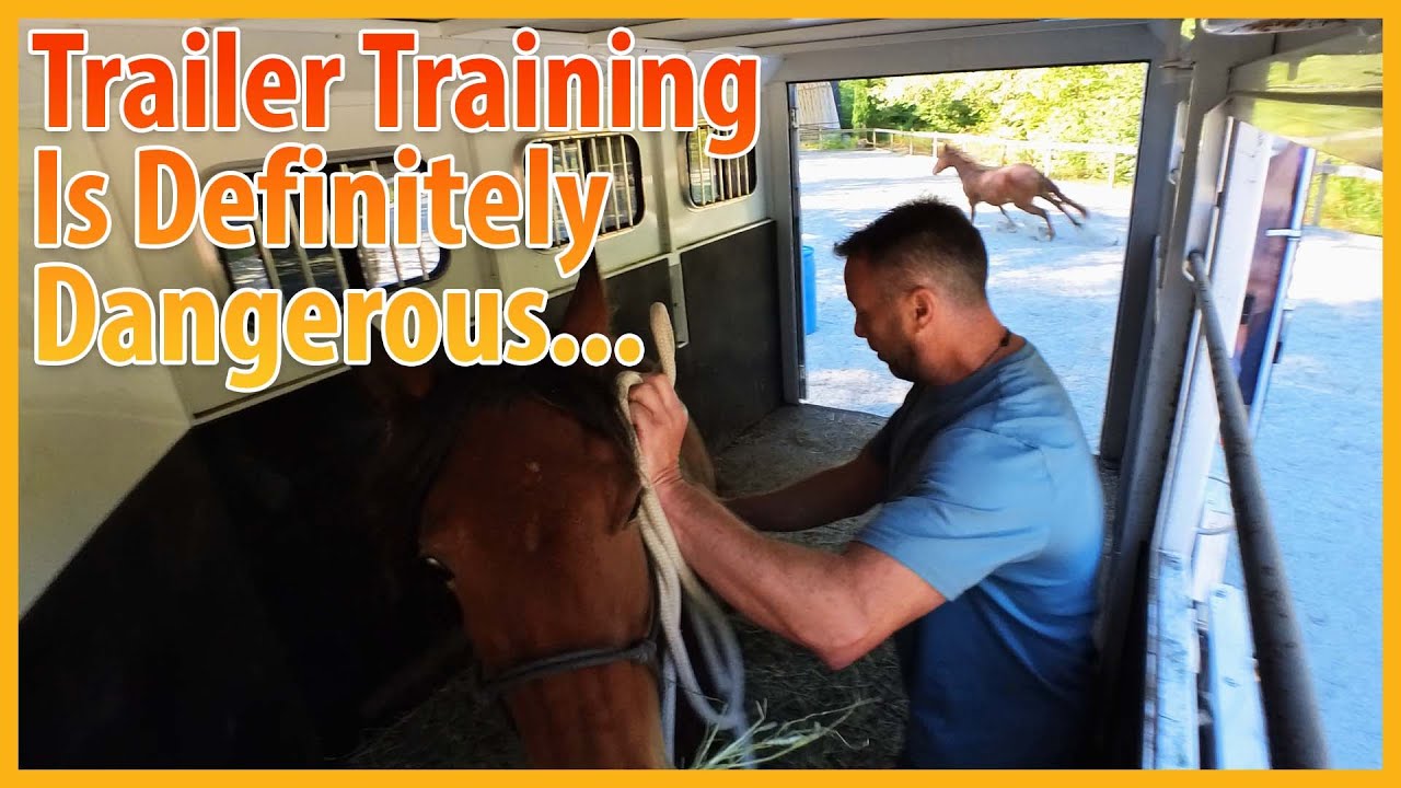 This Almost Went As Planned...Trailer Training The Babies - YouTube