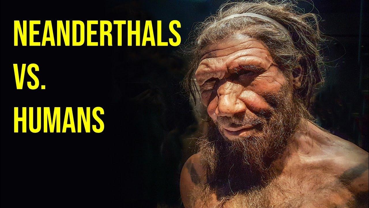 Neanderthals vs Humans: Unraveling the Mystery #history #anthropology - YouTube