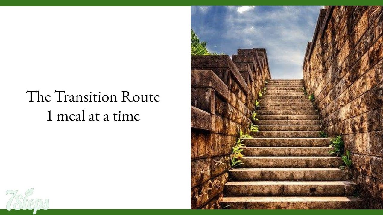 Go Vegan For 30 Days - Transition Route - one meal at a time ...