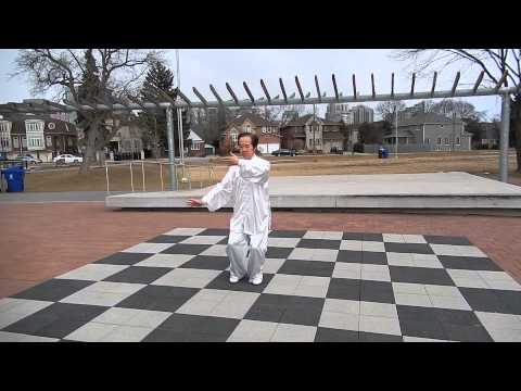 Tai Chi 26 Form 楊式太極拳26式 - Artis Chan - YouTube