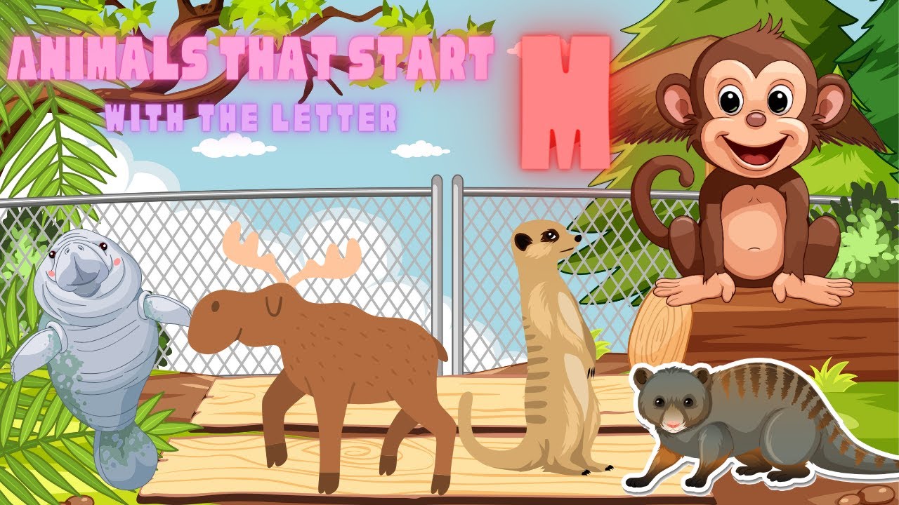 5 Jaw-Dropping Animals That Start with the Letter M! Kids Animal ...
