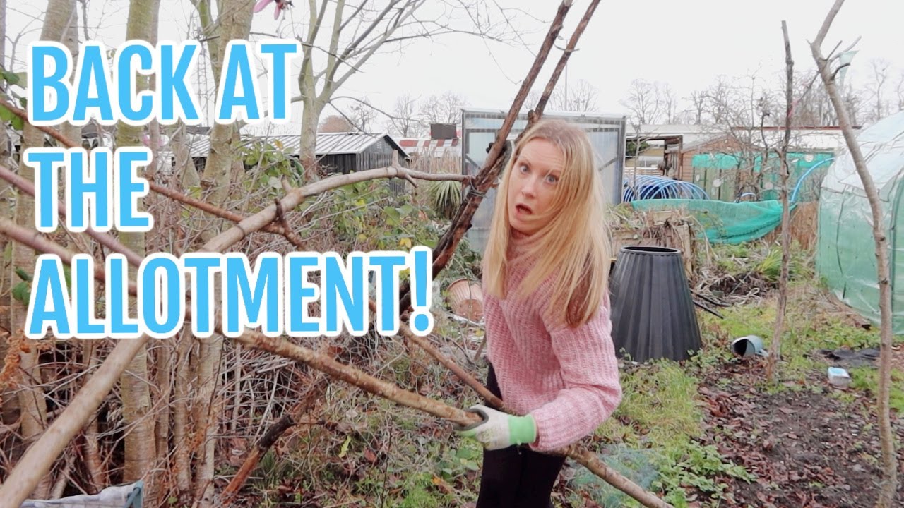 BACK AT THE ALLOTMENT PLOT! / JANUARY 2023 / EMMA'S ALLOTMENT DIARIES ...