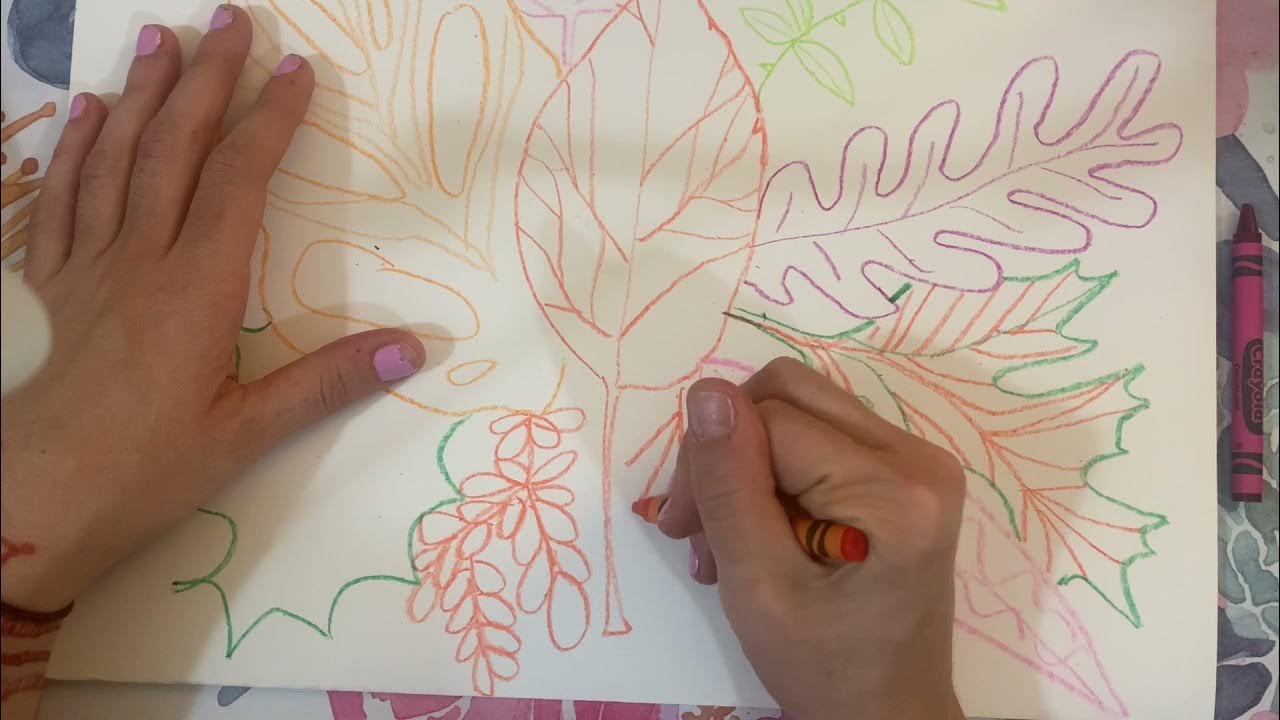 Observational Drawing - Leaves - YouTube