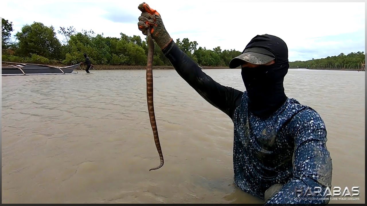 EP221-Part1 - Hunt for Malabanos | Catch & Cook | Occ. Mindoro - YouTube