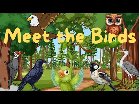 meet the birds#learning video for kids#english cartoon video#Tom🍓Jerry ...
