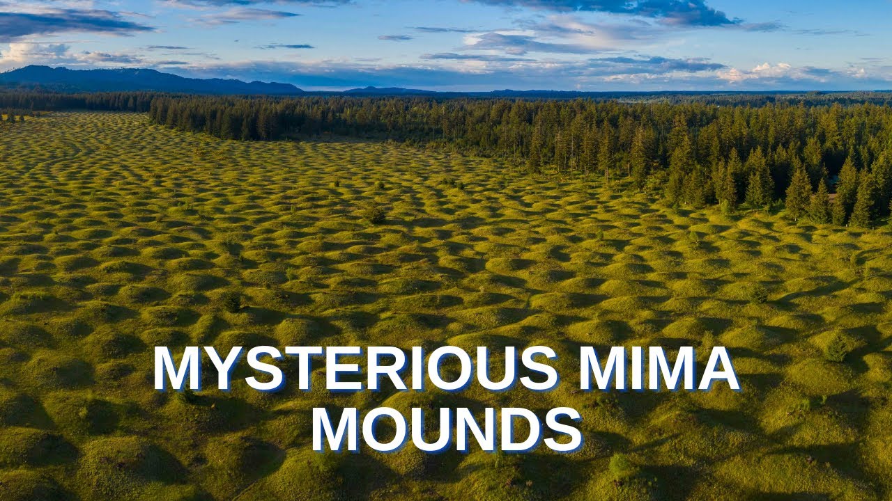 The Mysterious Mima Mounds in Washington United States - Mima Mounds ...