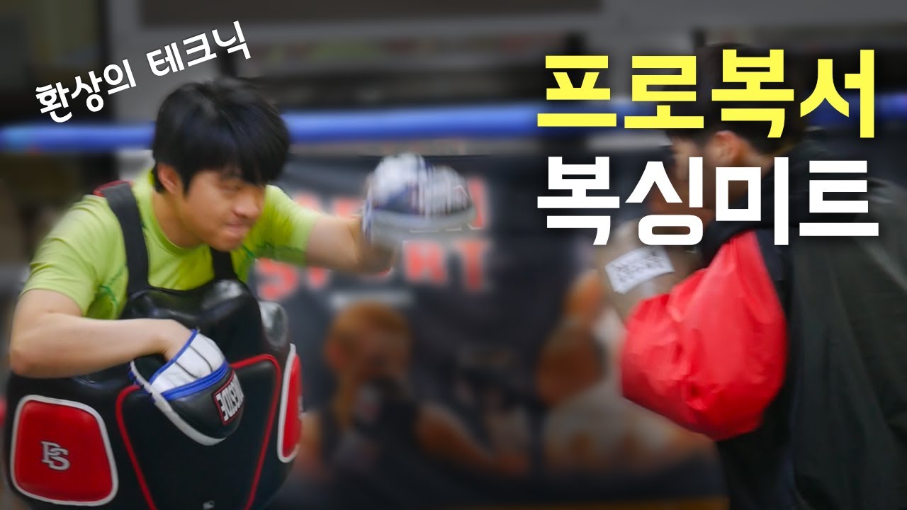 나혼자복싱 프로복싱 선수 미트 훈련은 이렇게 합니다시합대비 훈련포커스미트스트레이트 훅 어퍼거리잡기파펜스포츠링