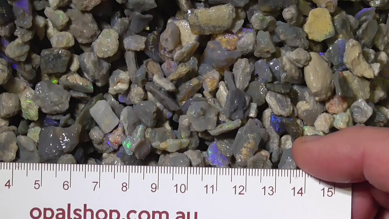 Medium mine run material Mostly fossils From Lightning Ridge Ro87 - YouTube