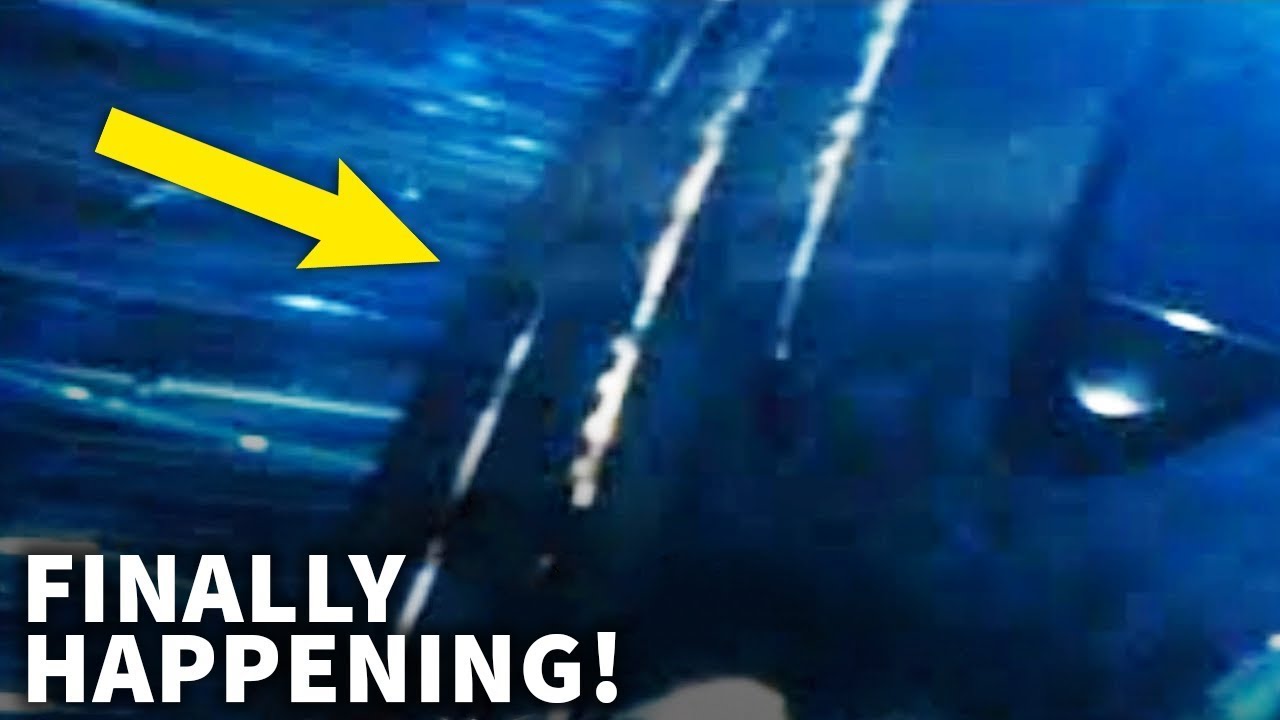 8 MINUTES AGO: NASA Detected Something TERRIFYING Entering Our Solar ...