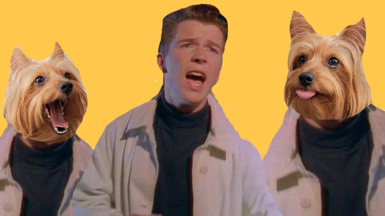 Dogs Rick Rolling but it's a dog - YouTube