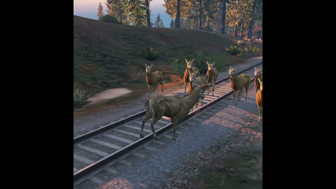 Dear Trying to Stop the Train Dear vs Train #Shorts - YouTube