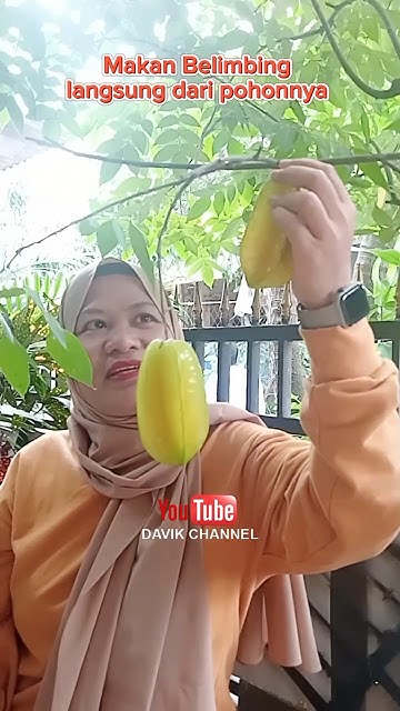 Makan Belimbing langsung dari pohonnya😁#shorts - YouTube