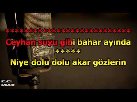 Mümin Sarıkaya - Gözlerin (Karaoke) Türkçe