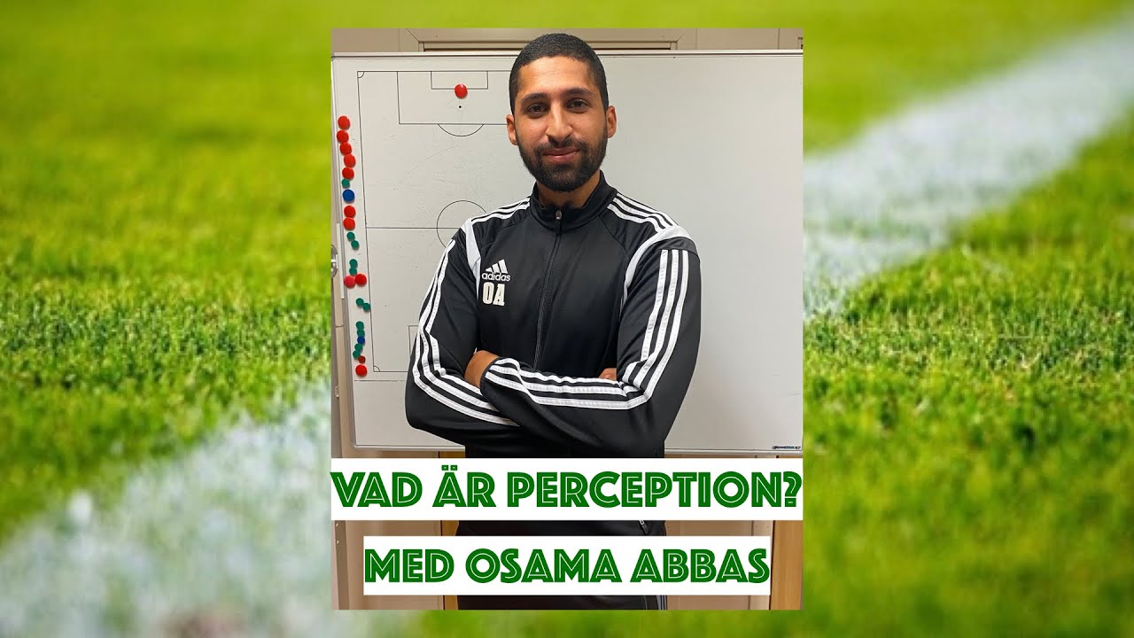 Vad är perception? - Med Osama Abbas - YouTube