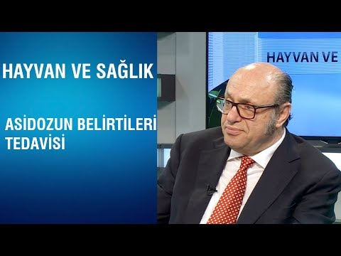 Hayvan ve Sağlık | Asidozun Belirtileri Ve Tedavisi