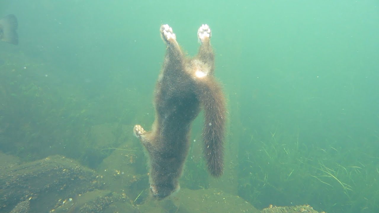 Knight Point State Park - YouTube