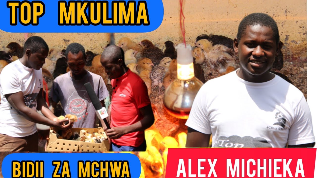 How a young 24yrs man earns from Pourtry Farming ~Top Mkulima the ...