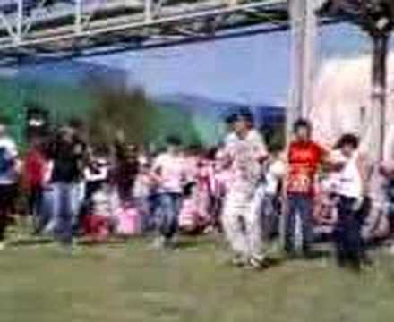 samba dans show